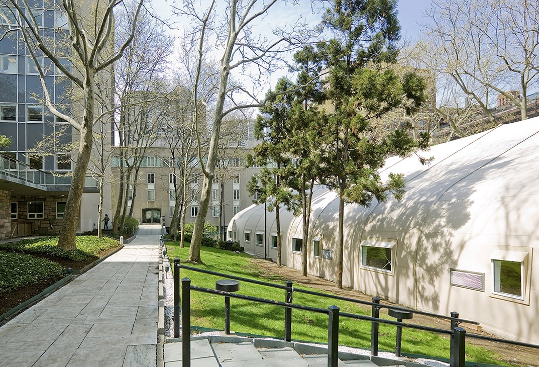 Sprung Project: Rockefeller University - Lab and Office - Office