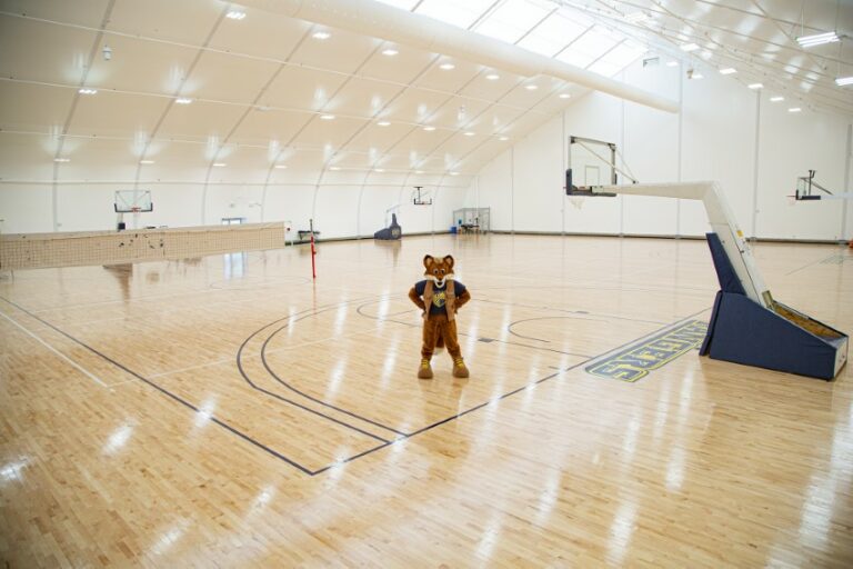 Sprung Project: Berce Athletic Center - Gymnasium - Gymnasiums