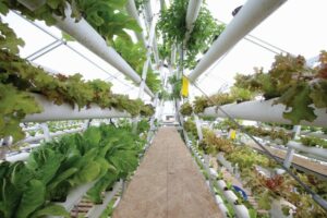 Sprung Project: Sprung Structures - Greenhouse - Controlled Environment ...