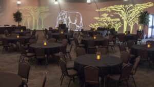 Design Flexibility - Sprung Structures