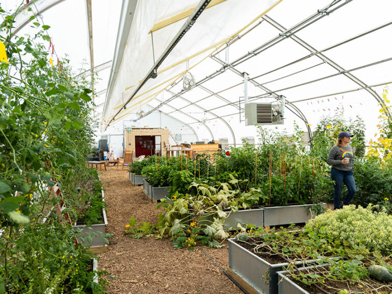 Sprung Project: Highfield Regenerative Farm - Controlled Environment ...