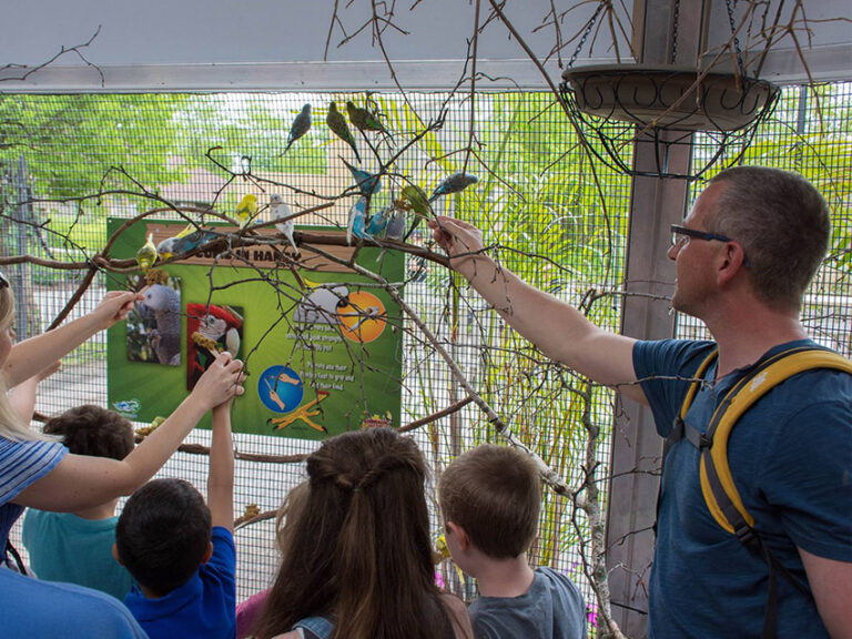 Sprung Project: Buffalo Zoo - Bird Aviary - Zoos
