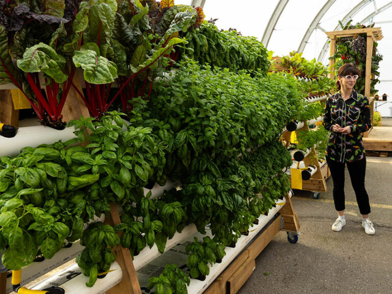 Sprung Project: West Island College - Greenhouse - Controlled ...