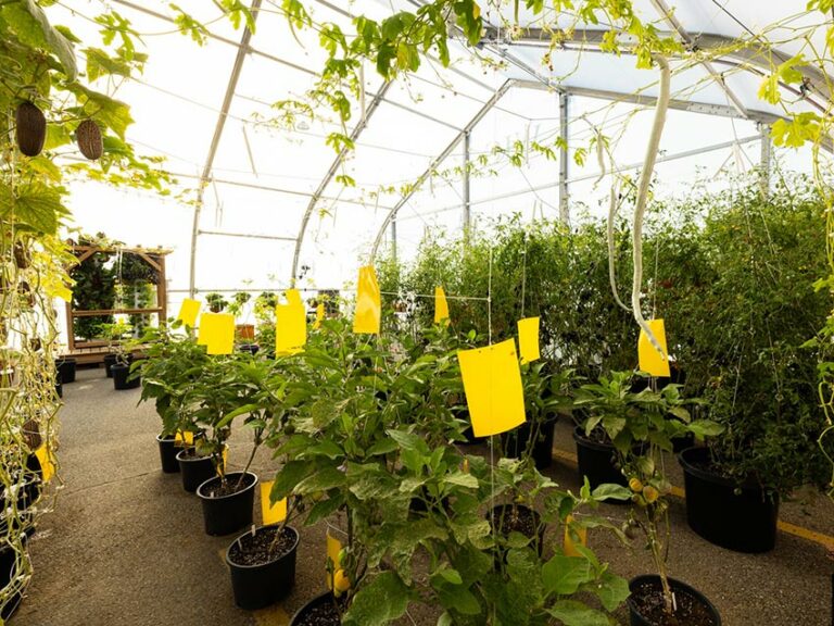 Sprung Project: West Island College - Greenhouse - Controlled ...